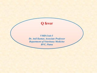 Q-FEVER Power Point presentation .pptx