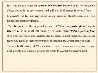 Q-FEVER Power Point presentation .pptx