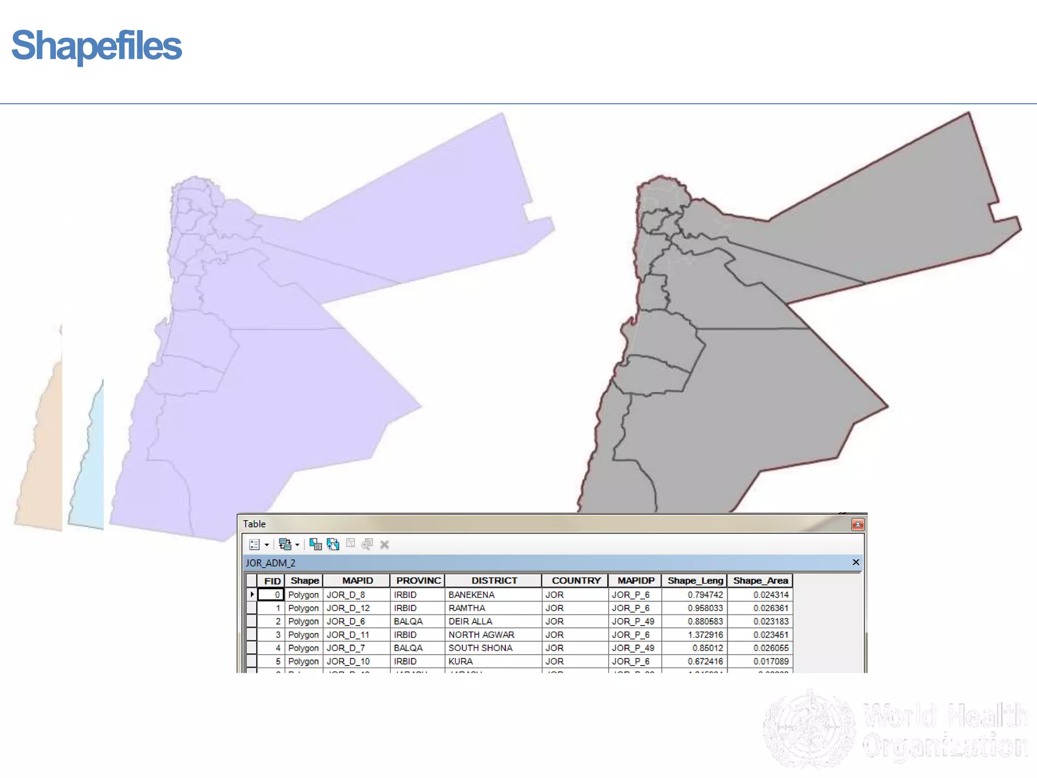 Q GIS Training Presentation | PPTX