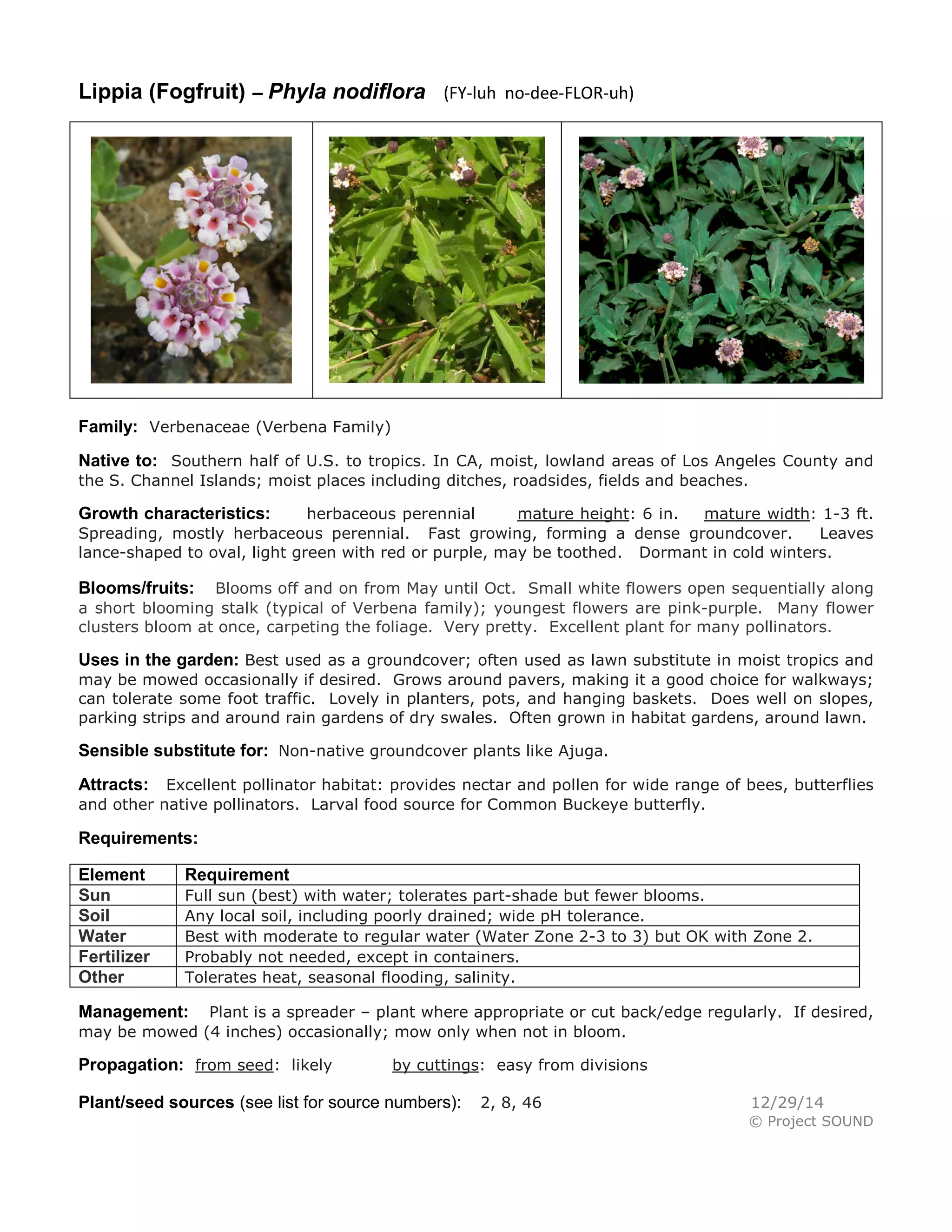 Q phyla nodiflora | PDF