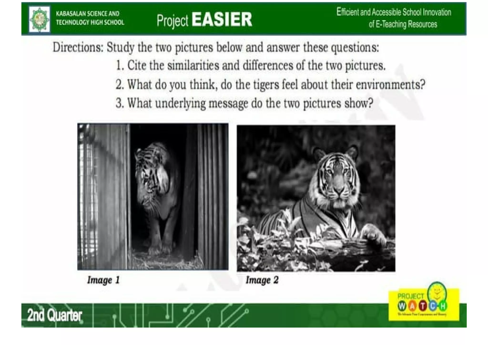 Q-Week Argumentative Essay - Copy .Pptx
