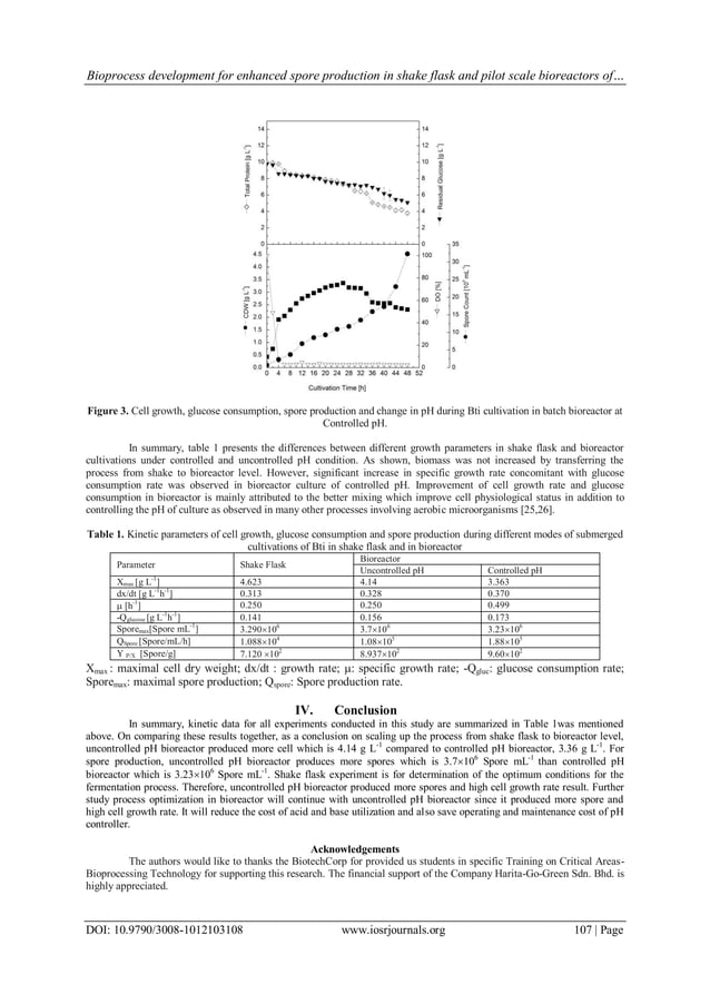 Bioprocess Development For Enhanced Spore Production In Shake Flask And Pilot Scale Bioreactors