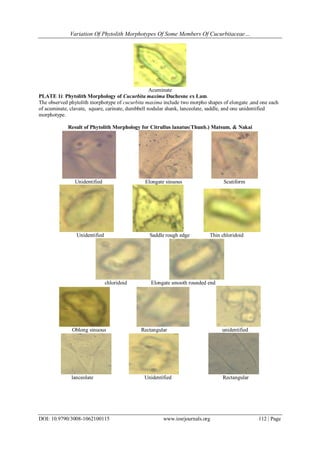 Variation Of Phytolith Morphotypes Of Some Members Of Cucurbitaceae ...