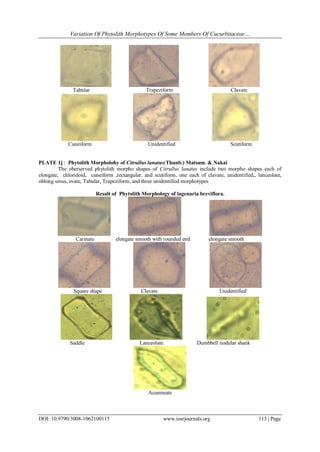 Variation Of Phytolith Morphotypes Of Some Members Of Cucurbitaceae ...