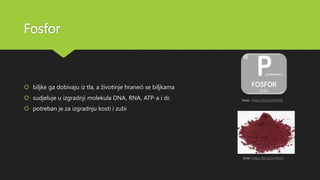 UGLJIK_I_FOSFOR.pptx