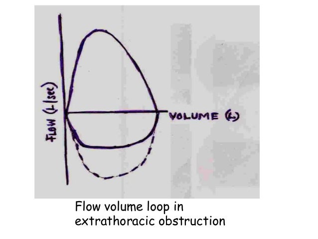 Pulmonary defense