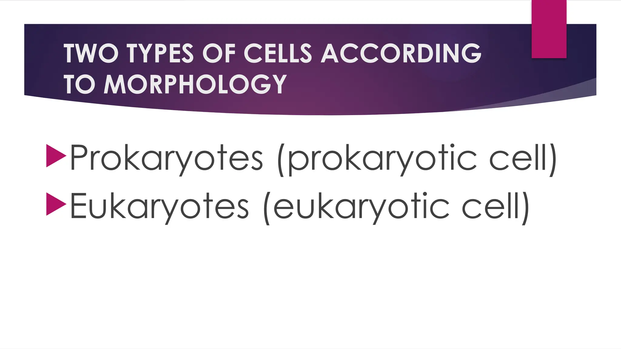 Q1.4-PROKARYOTIC-CELL-STRUCTURE.pptx.......... | PPTX