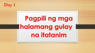 Pagpili ng mga halamang gulay na itatanim | PPTX