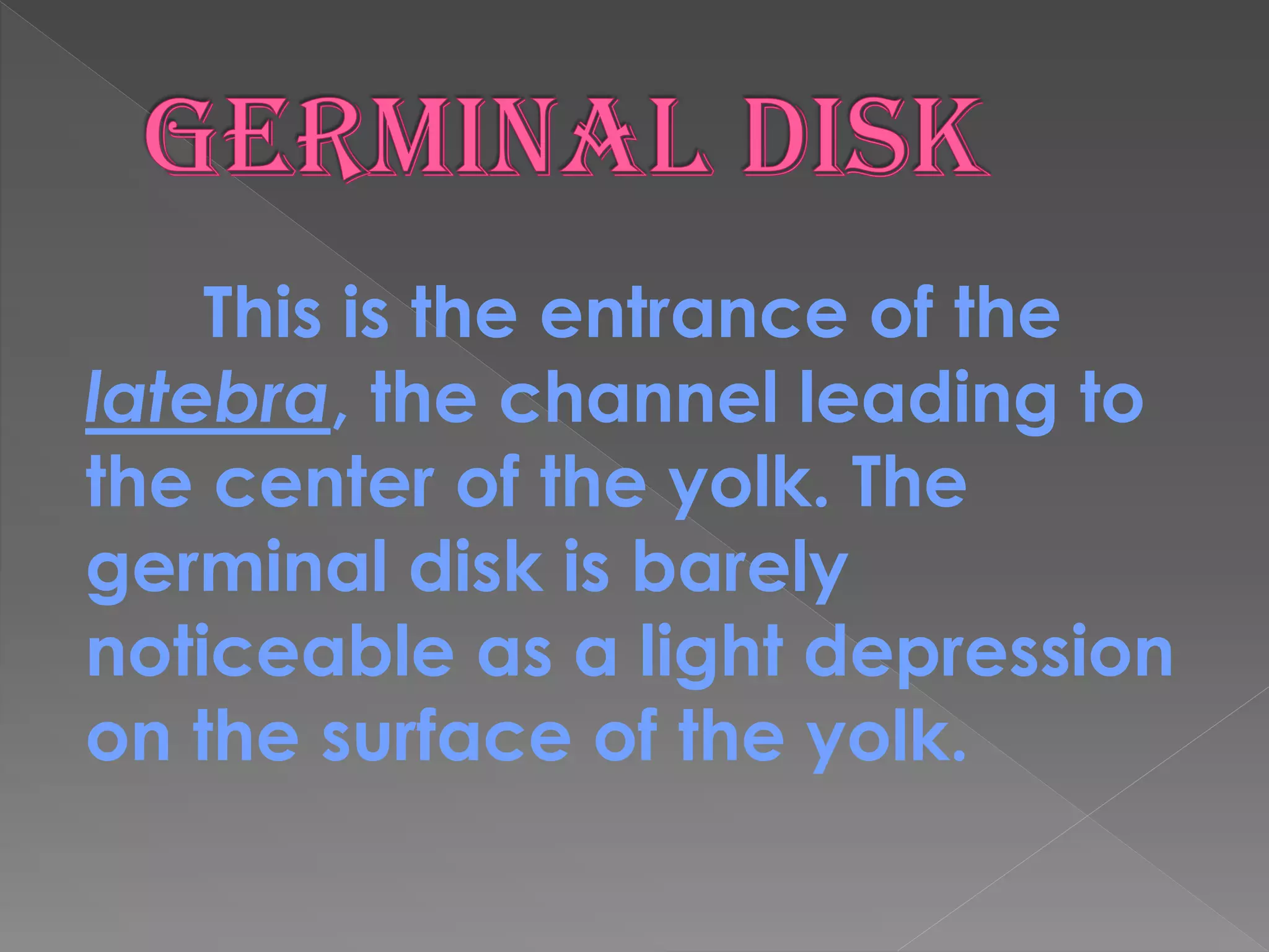 lesson 1 prepare egg dishes - LO1 | PPTX