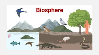 The Four Sub-systems of the Earth And Its Features | PPT