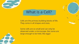 GENERAL BIOLOGY Q1 -W1-CELL THEORY .pptx