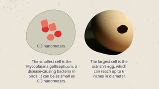 GENERAL BIOLOGY Q1 -W1-CELL THEORY .pptx