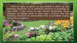 Q1-W1_HALAMANG ORNAMENTAL.pptx