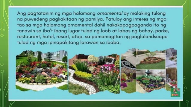 Q1-W1_HALAMANG ORNAMENTAL.pptx