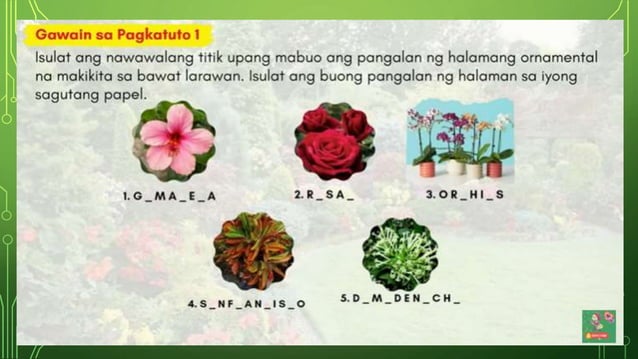 Q1-W1_HALAMANG ORNAMENTAL.pptx