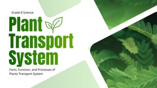 Q1-W2 Plant Transport System used in classroom presentation | PPTX