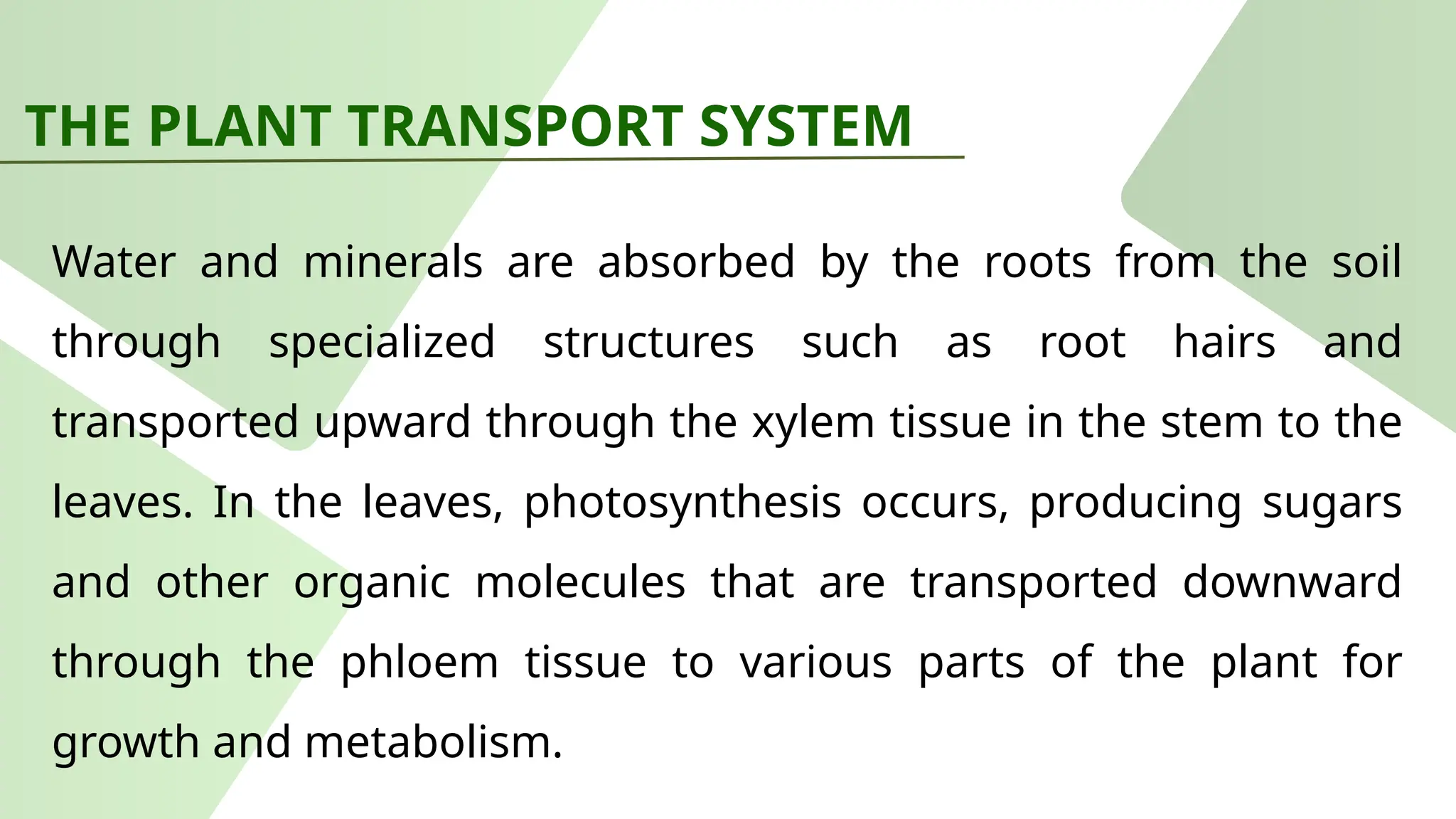 Q1-W2 Plant Transport System used in classroom | PPTX