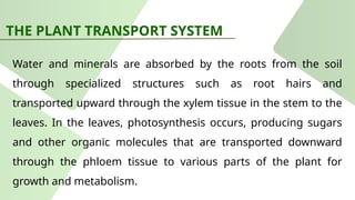 Q1-W2 Plant Transport System used in classroom | PPTX
