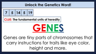 Q1-W3-Pattern-of-Inheritance used in classroom | PPTX