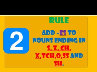 Singular and Plural Nouns power point presentation | PPT