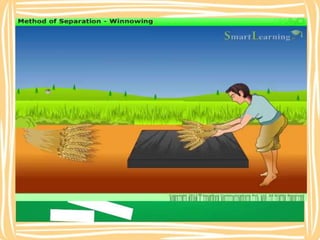 Q1 week 4-SEPARATION OF MIXTURES THROUGH PICKING, WINNOWING ...