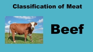 Q1_8_Day 1.pptx Classification of Meat and Poultry | PPTX