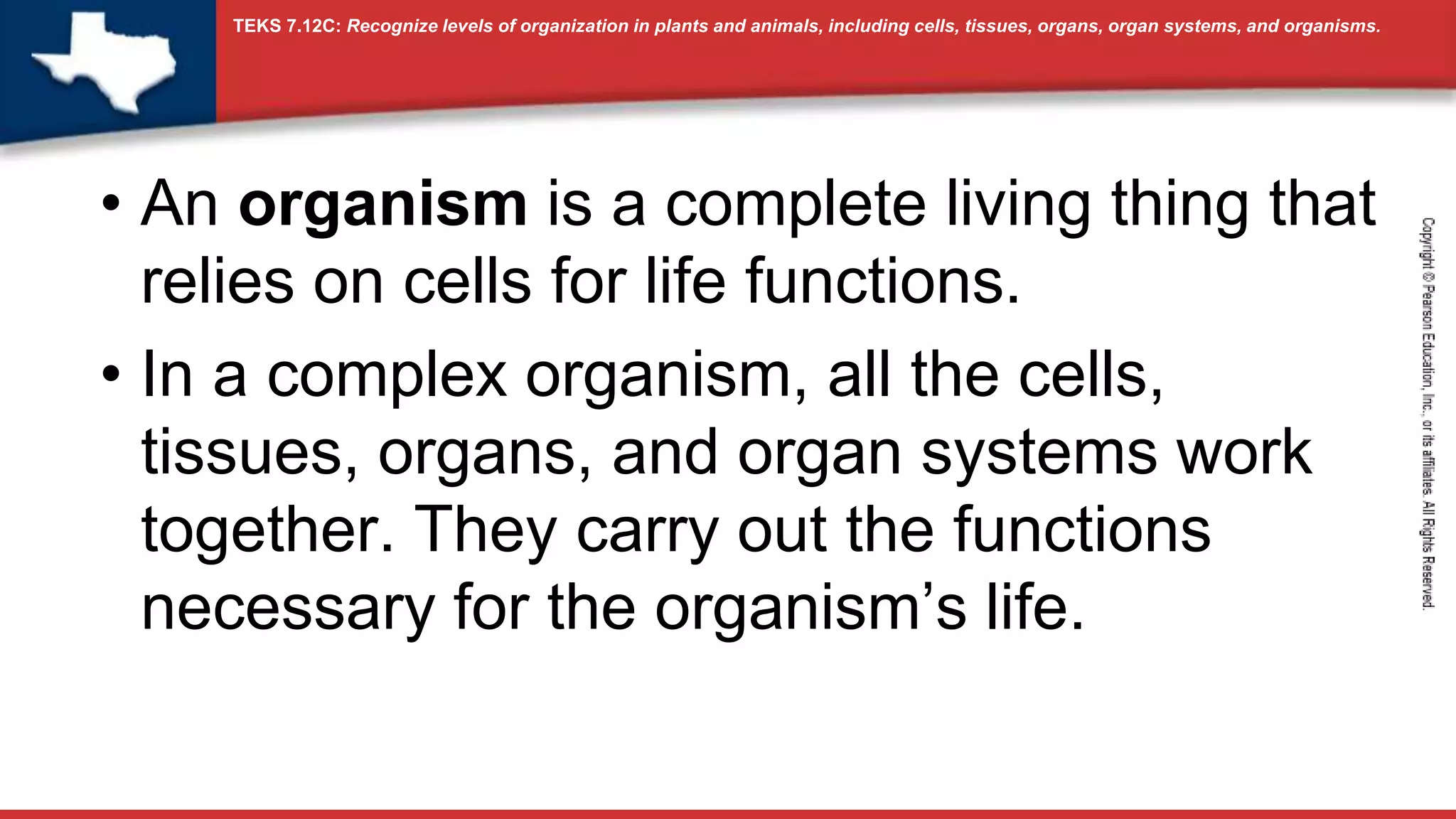 Q1C1L1 Animal and Plant Organ Systems and their Functions (2).pptx
