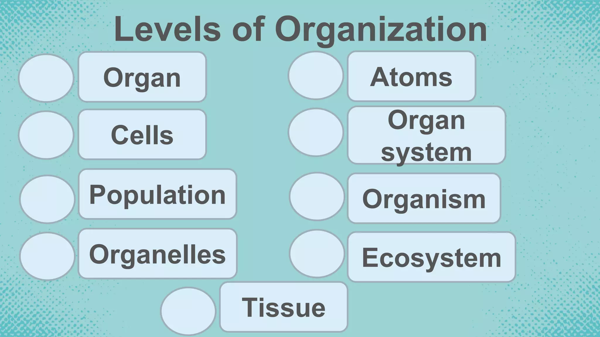 Q1C1L1 Animal and Plant Organ Systems and their Functions (2).pptx