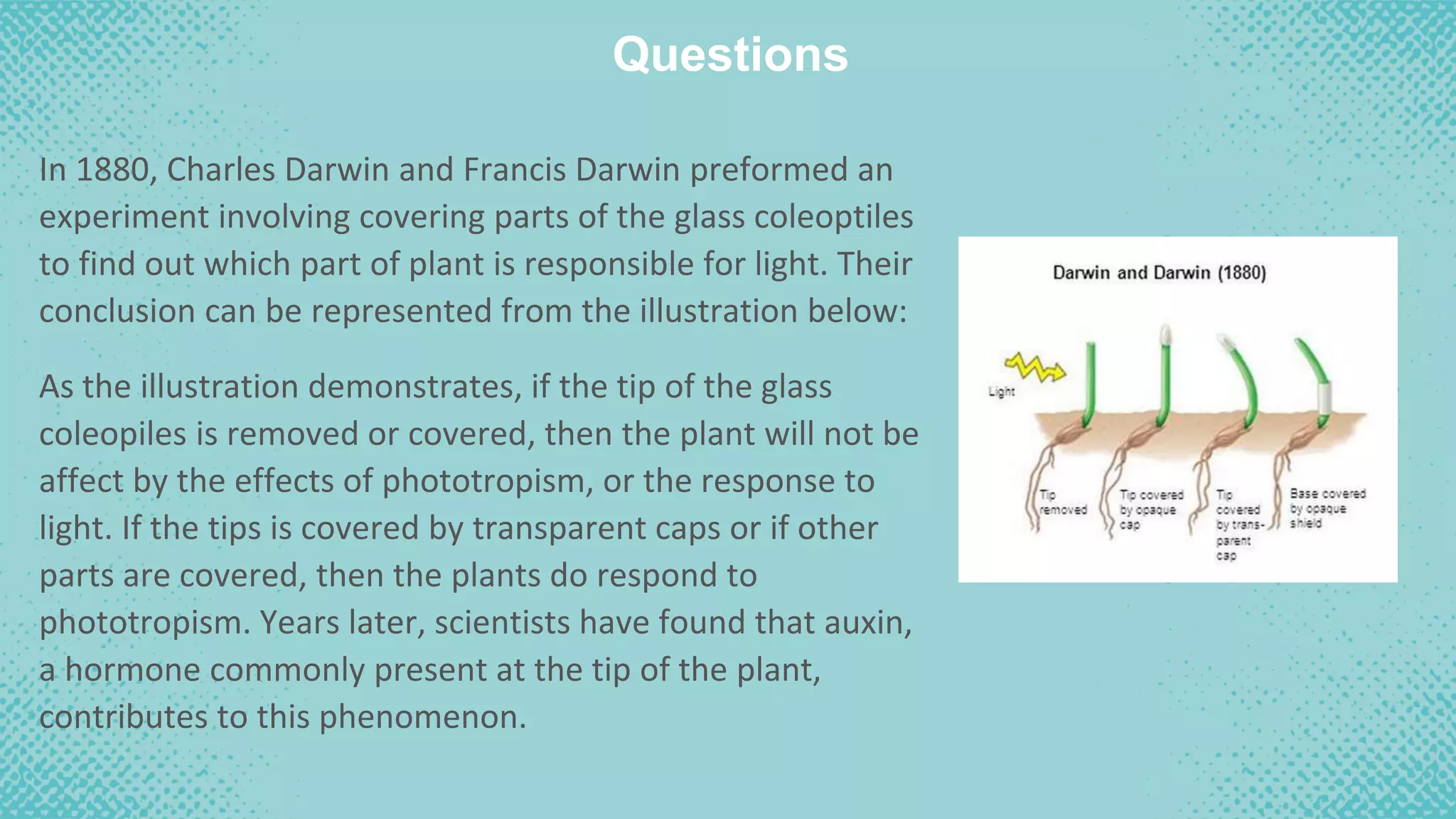 Q1C1L1 Animal and Plant Organ Systems and their Functions (2).pptx
