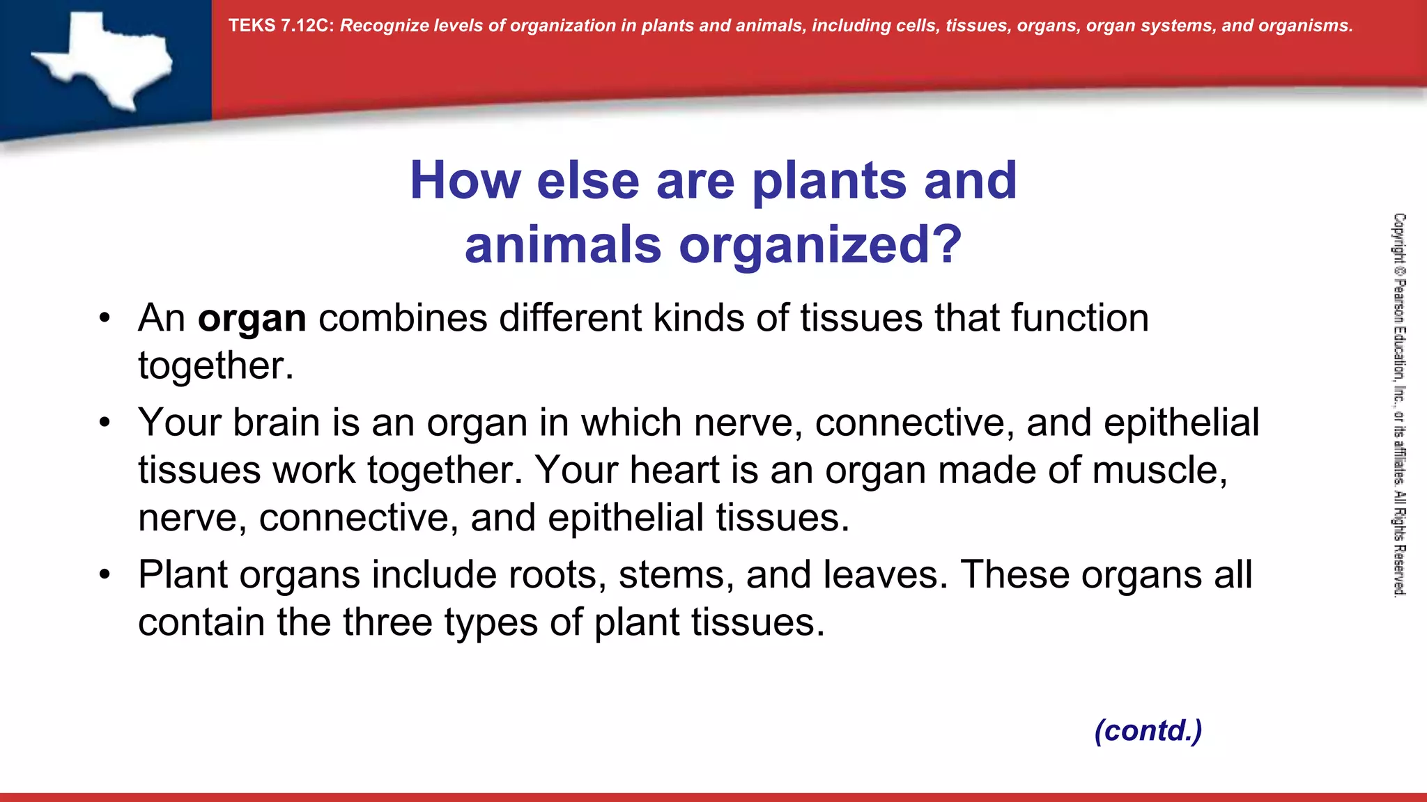 Q1C1L1 Animal and Plant Organ Systems and their Functions (2).pptx