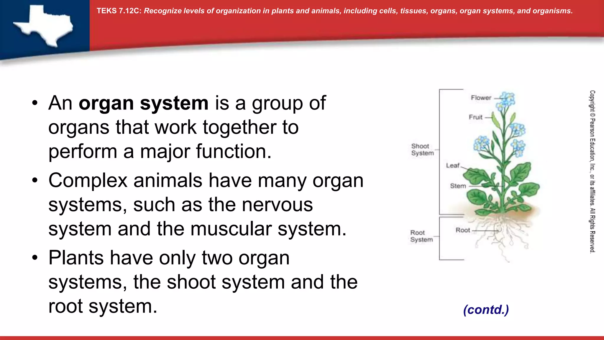 Q1C1L1 Animal and Plant Organ Systems and their Functions (2).pptx