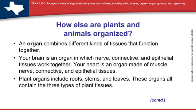 Q1C1L1 Animal and Plant Organ Systems and their Functions (2).pptx ...