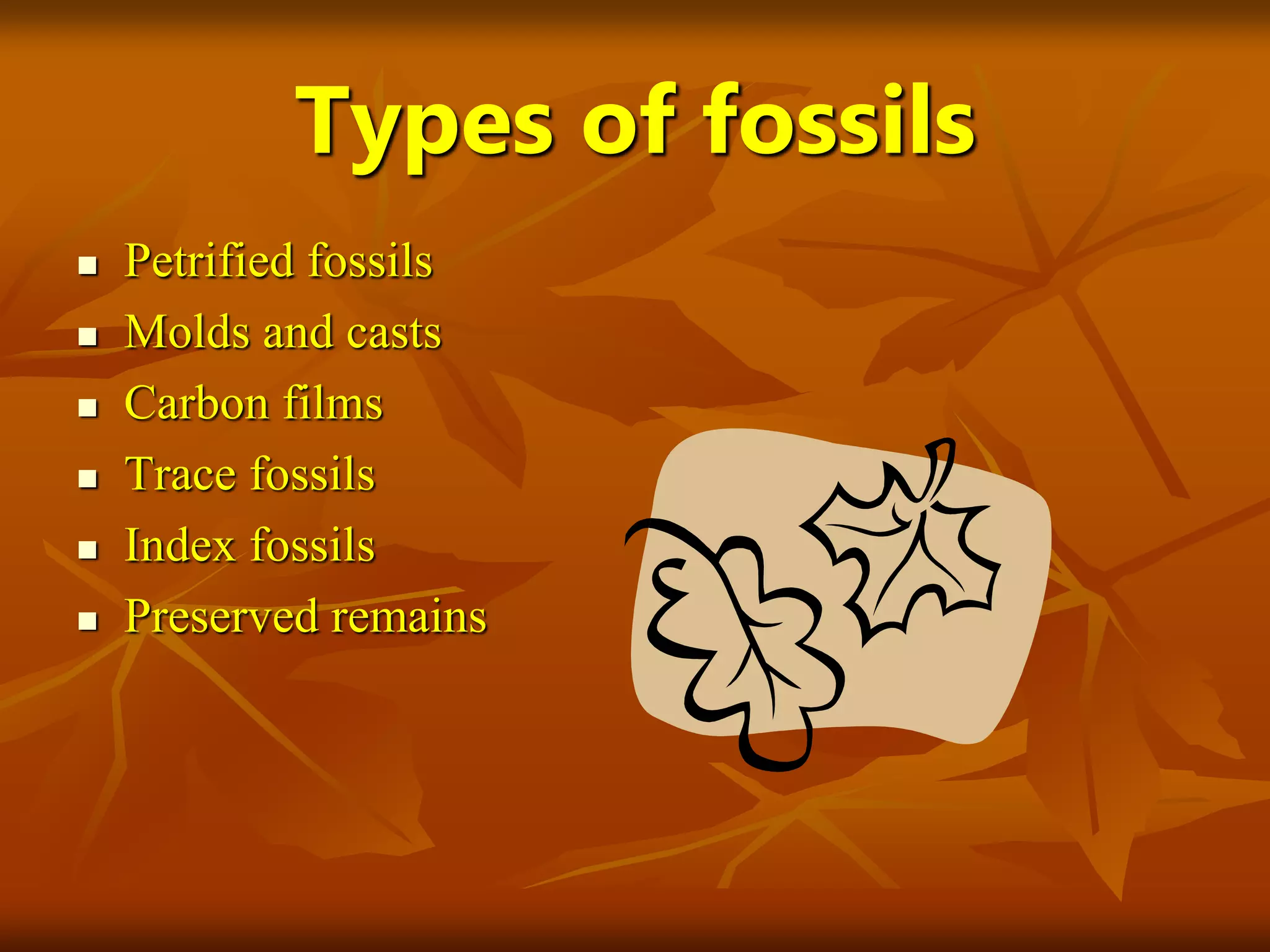 Q1C3L3 Fossils.ppt