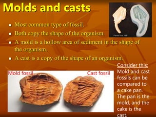 Q1C3L3 Fossils.ppt