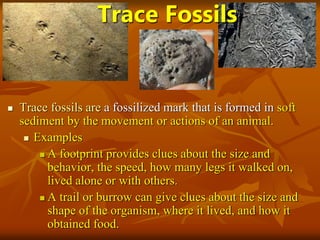 Q1C3L3 Fossils.ppt