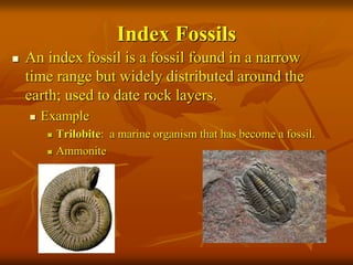 Q1C3L3 Fossils.ppt