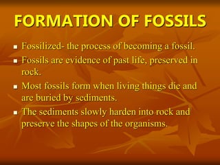 Q1C3L3 Fossils.ppt