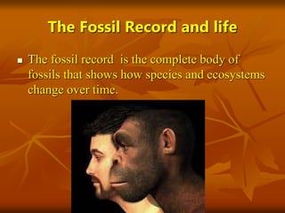 Q1C3L3 Fossils.ppt