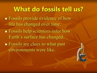 Q1C3L3 Fossils.ppt