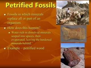 Q1C3L3 Fossils.ppt