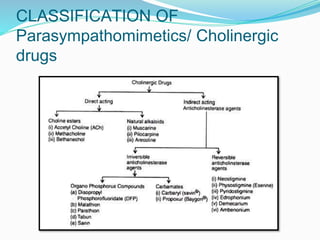 Parasympathomimetics agents | PPT
