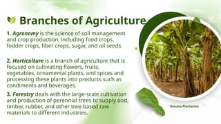 Q1 G4 AGRICULTURE AND ITS IMPORTANCE.pptx