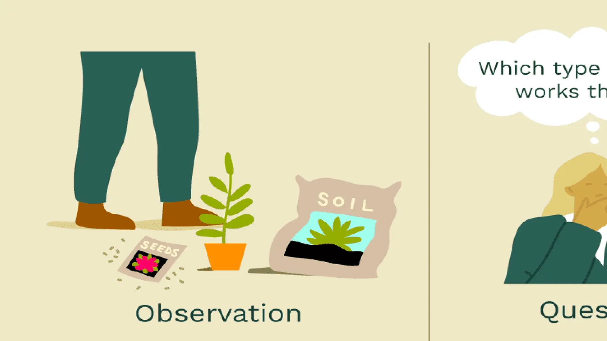 First (1st) Quarter Topics in Science 7 | PPTX