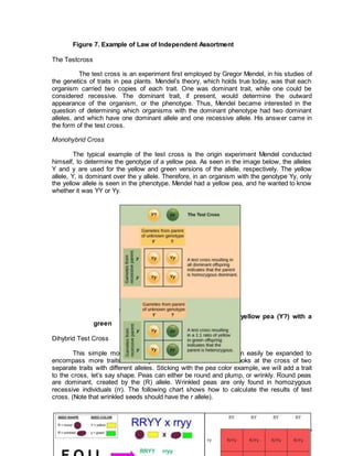 Q1 general biology 2 mr. pabores | DOC
