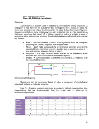 Q1 general biology 2 mr. pabores | DOC