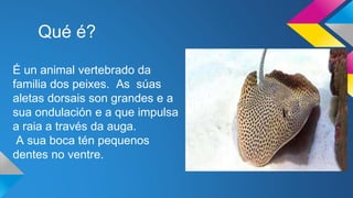 A raia. Tercero | PPT