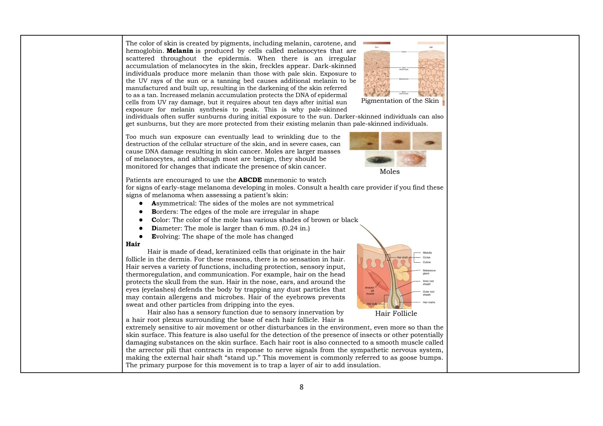 Q1_LE_PE and Health 4_Lesson 3_Week 3-6.pdf