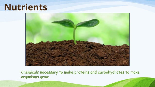 Earth and Life Science Quarter 1 Module 1 Origin and Structure of Earth | PPTX