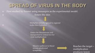 viral lesions of the oral cavity | PPTX