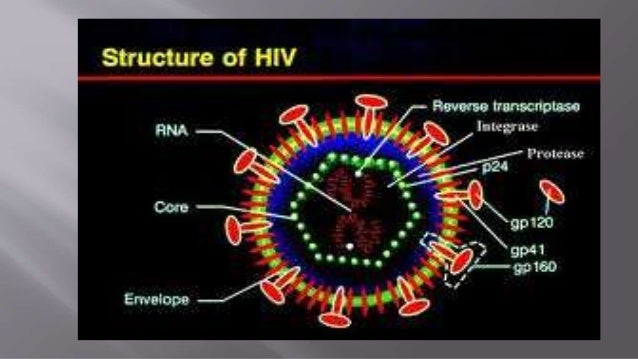 viral lesions of the oral cavity